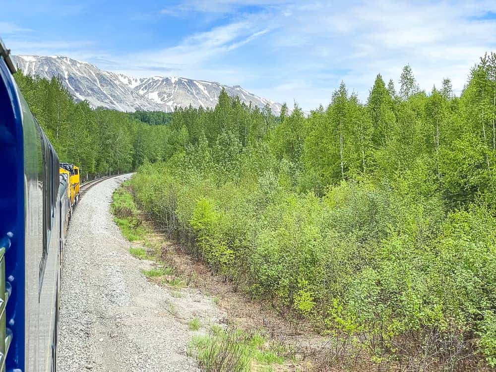 Alaska Railroad Denali Star …Is Goldstar Service Worth It? - BmoreNomadic